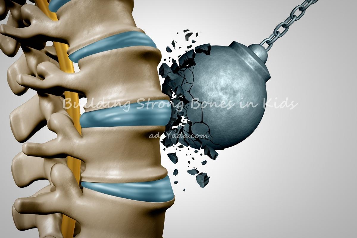 Building Strong Bones in Kids
